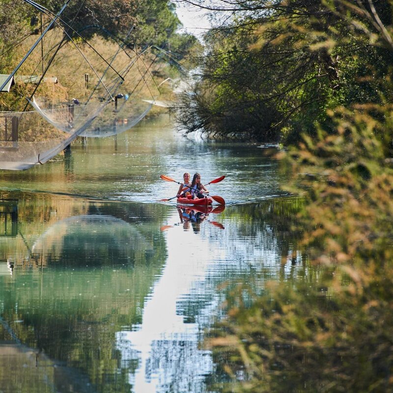 Canoeing and kayaking